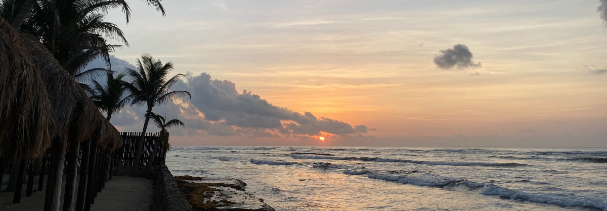 Running Reflection Series 2: My Experience with Mike Peto’s Brazilian ...